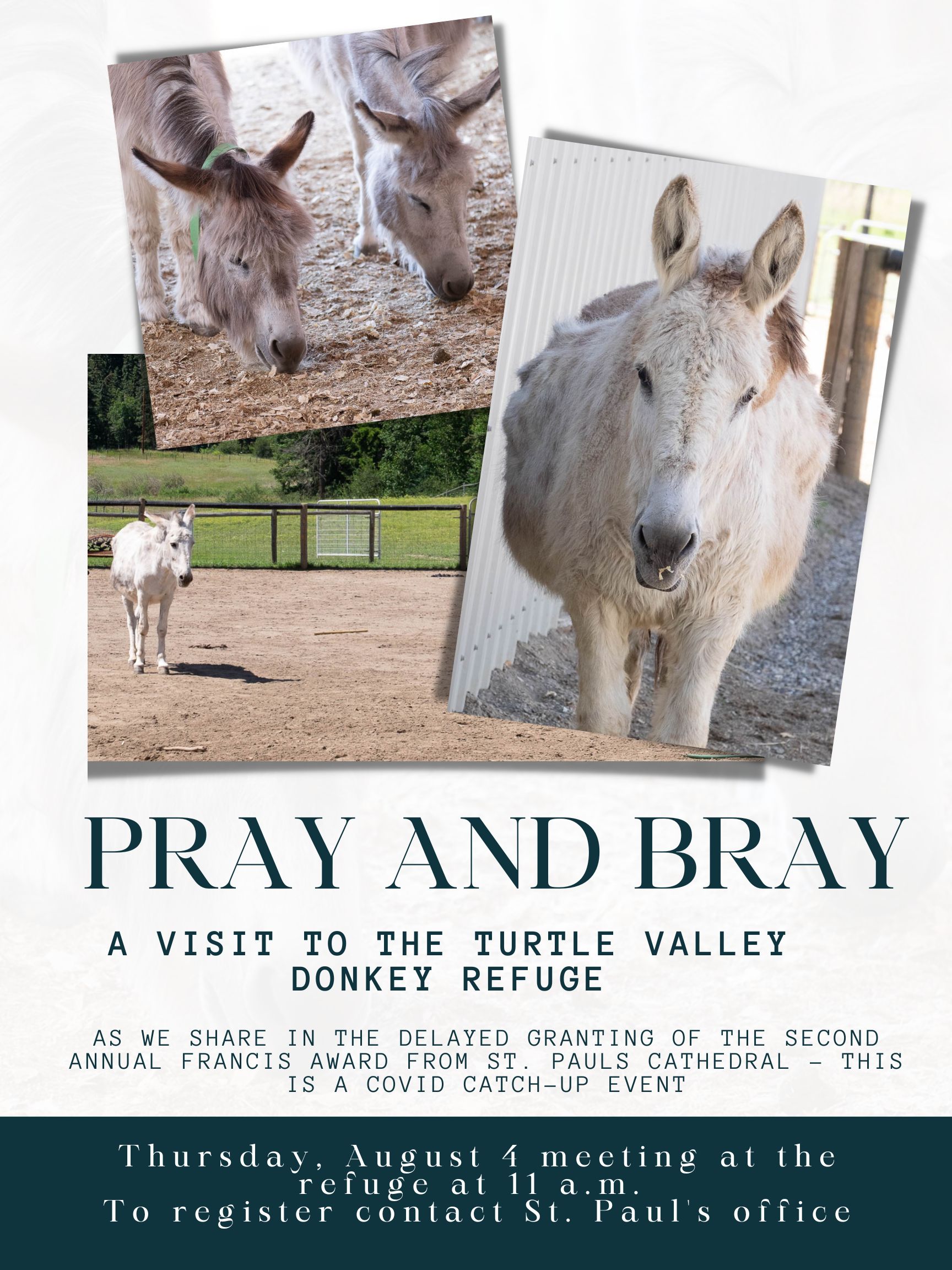 Pray and Bray August 4, 2022 – St. Paul's Anglican Cathedral