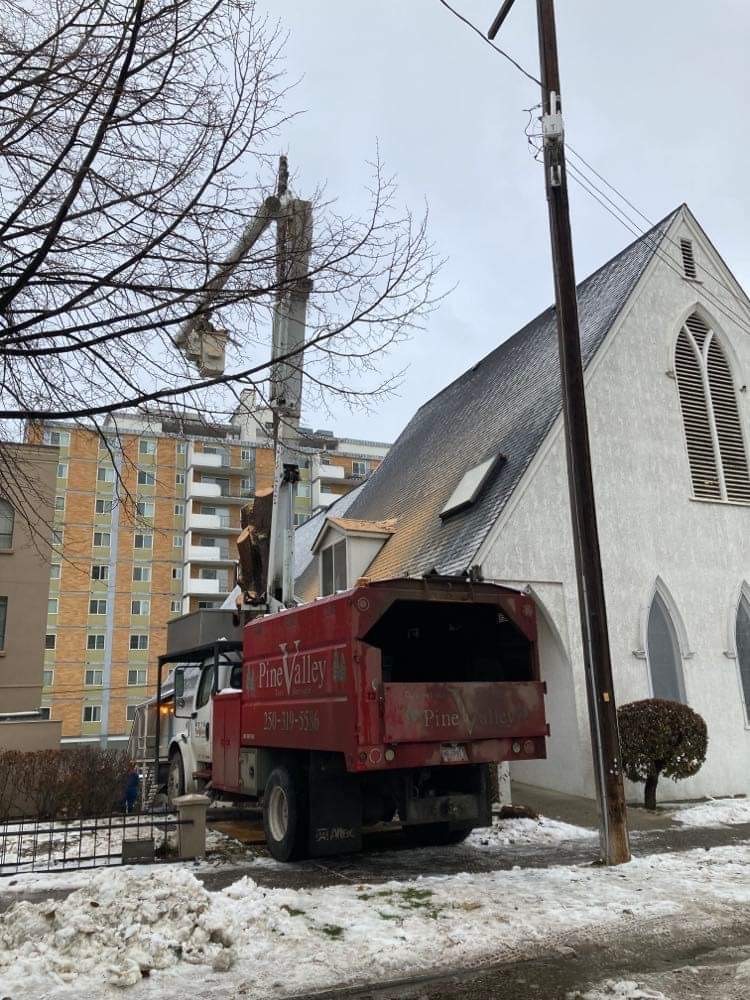 Chop Chop – St. Paul's Anglican Cathedral